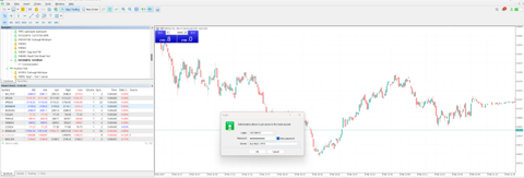 How do I login to my futures account on MT5? – AvaFutures